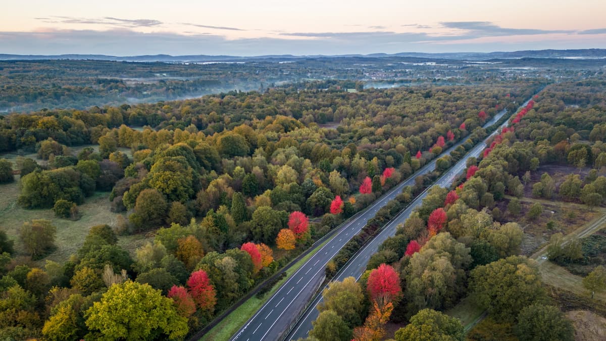 Stunning photos of A3's autumnal memorial to 418 Canadian war heroes ...